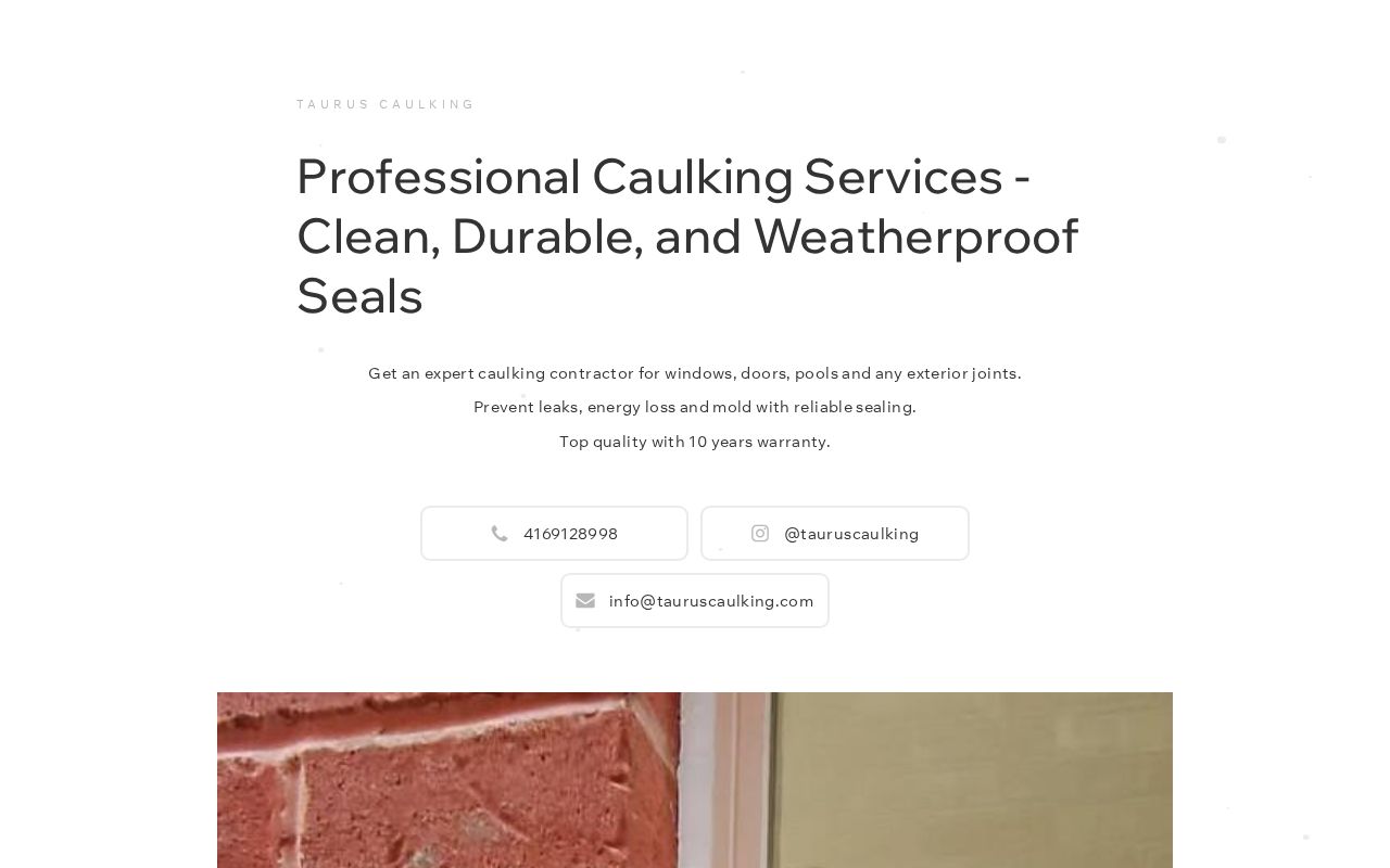 Professional Caulking Services - Clean, Durable, and Weatherproof Seals